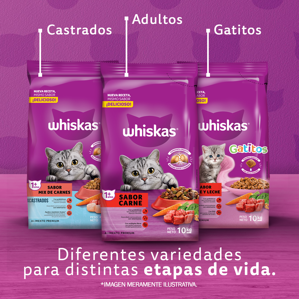 WHISKAS® alimento seco para gatitos carne y leche | WHISKAS® Chile