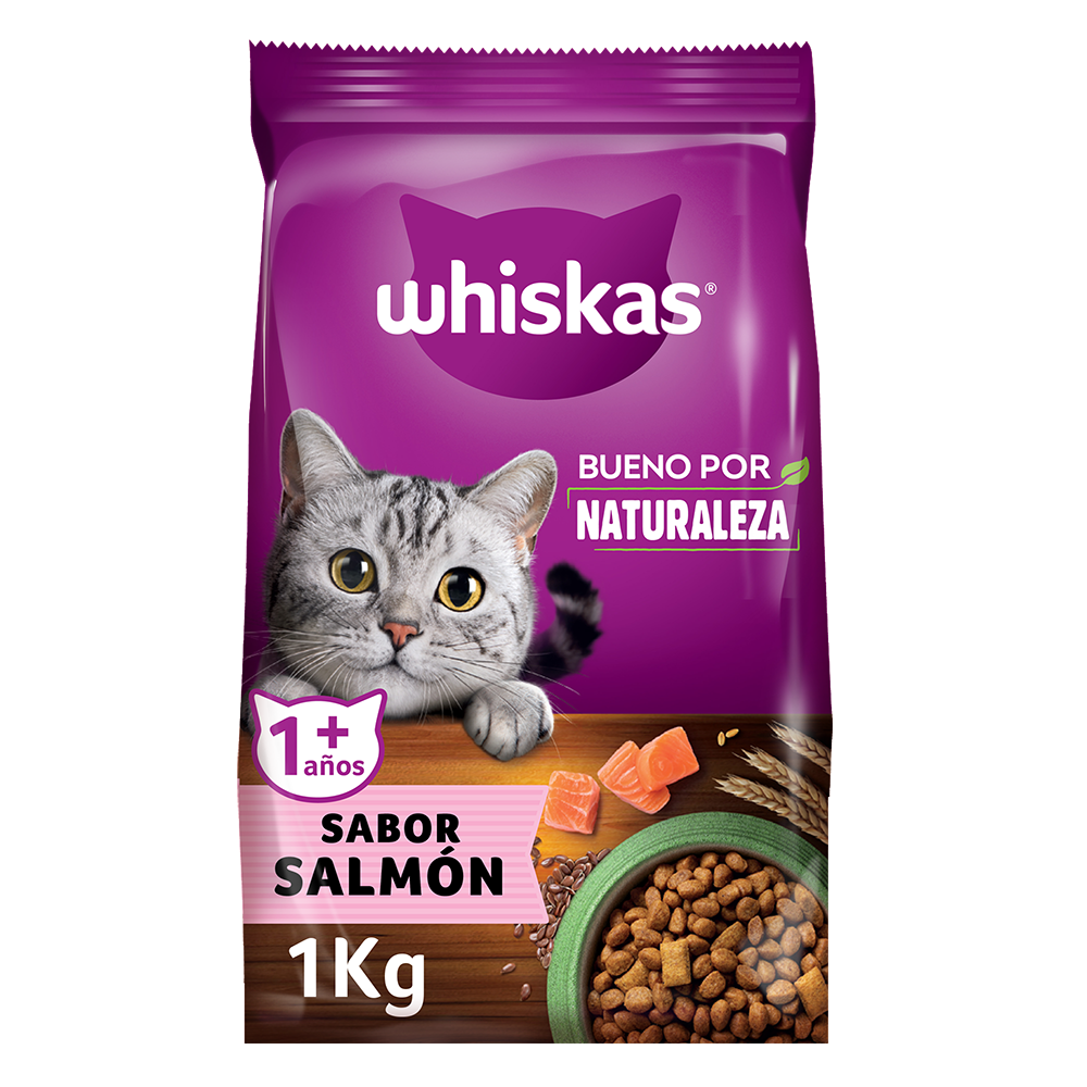 WHISKAS® alimento seco para gatitos carne y leche | WHISKAS® Chile